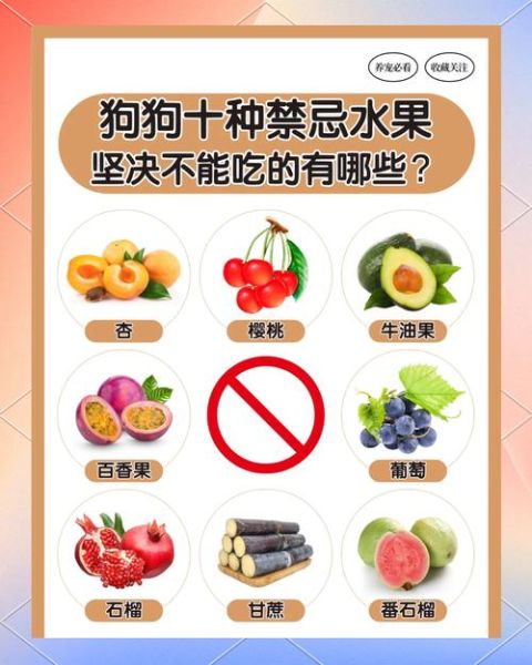 狗肉不能和什么水果一起吃_吃狗肉后多久能吃水果-第2张图片-山城妙识