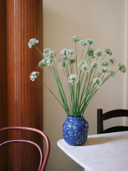 韭菜花图片大全_韭菜花怎么保存-第3张图片-山城妙识 韭菜花图片大全_韭菜花怎么保存-第3张图片-山城妙识