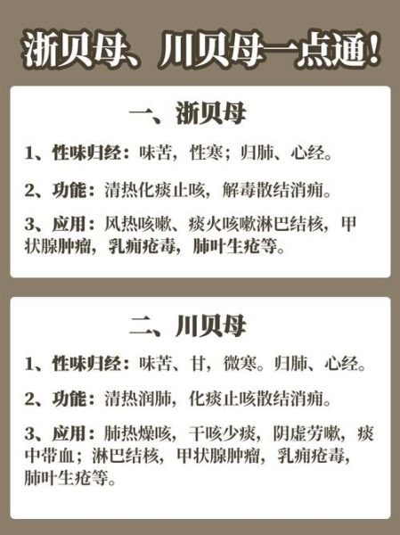 贝母的功效与作用_川贝母和浙贝母区别-第2张图片-山城妙识 贝母的功效与作用_川贝母和浙贝母区别-第2张图片-山城妙识