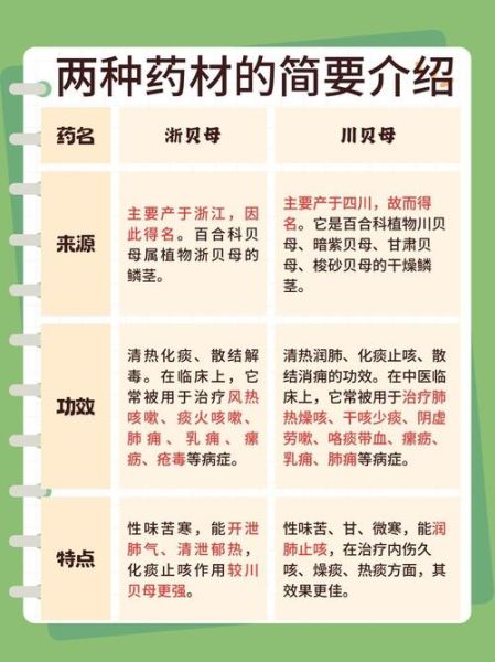 贝母的功效与作用_川贝母和浙贝母区别-第1张图片-山城妙识 贝母的功效与作用_川贝母和浙贝母区别-第1张图片-山城妙识