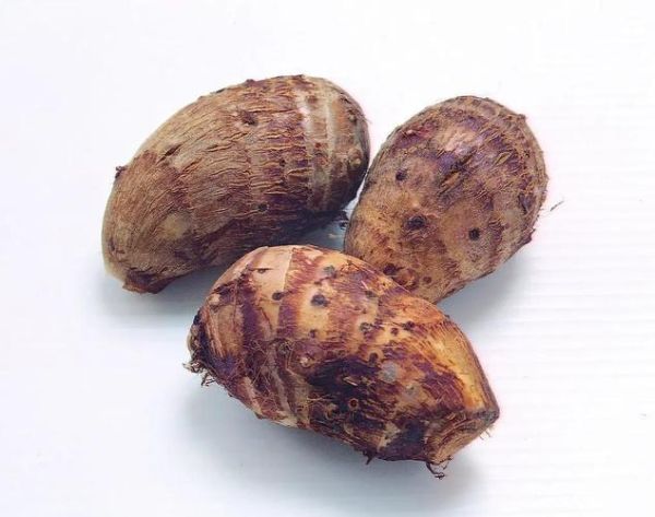 魔芋和芋头一样吗_魔芋与芋头的区别-第2张图片-山城妙识