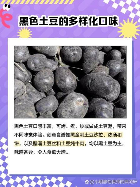 黑土豆不能和什么一起吃_黑土豆禁忌人群有哪些-第1张图片-山城妙识