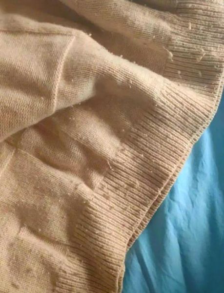 羊毛衫怎么洗不缩水_羊毛衫起球怎么办-第1张图片-山城妙识 羊毛衫怎么洗不缩水_羊毛衫起球怎么办-第1张图片-山城妙识