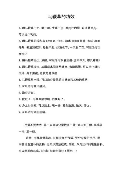 马鞭草的功效与作用有哪些_马鞭草怎么吃最好-第1张图片-山城妙识 马鞭草的功效与作用有哪些_马鞭草怎么吃最好-第1张图片-山城妙识