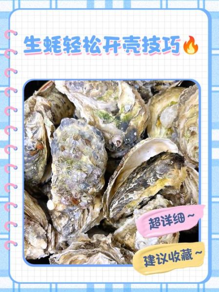 生蚝怎么打开最方便_生蚝开壳技巧-第2张图片-山城妙识