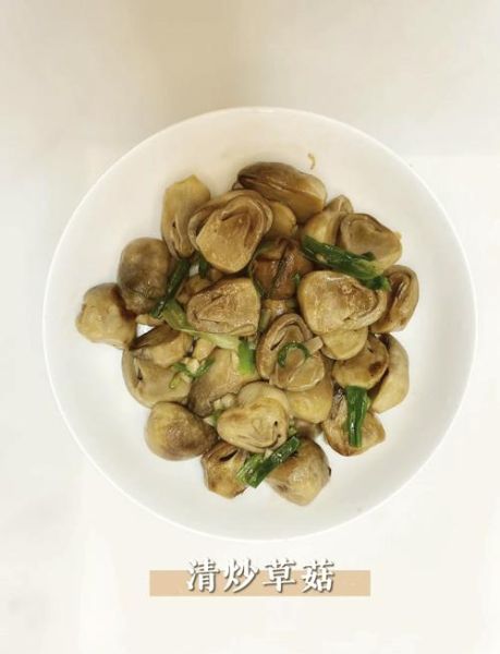 草菇怎么炒好吃_草菇的做法大全家常菜-第1张图片-山城妙识