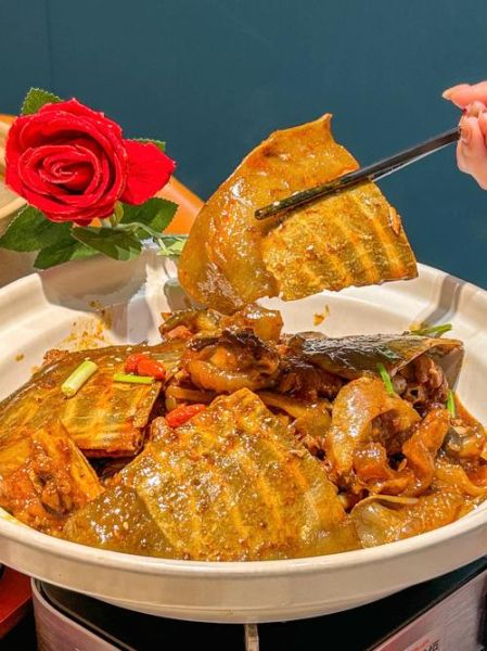 甲鱼喜欢吃什么食物_甲鱼最爱吃哪些天然饵料-第1张图片-山城妙识 甲鱼喜欢吃什么食物_甲鱼最爱吃哪些天然饵料-第1张图片-山城妙识