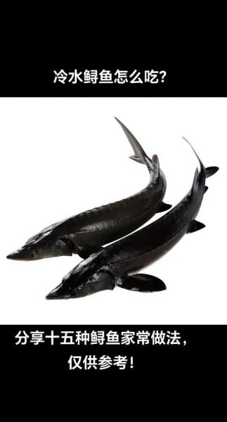 鲟鱼图片怎么拍_鲟鱼高清图哪里找-第2张图片-山城妙识 鲟鱼图片怎么拍_鲟鱼高清图哪里找-第2张图片-山城妙识