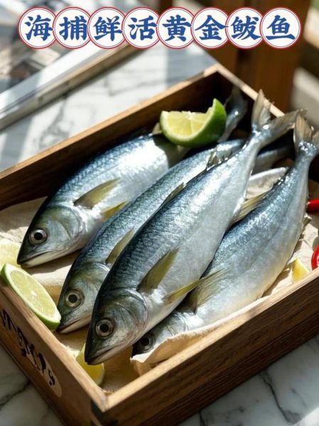 黄金鲅鱼为什么便宜_黄金鲅鱼价格低的真相-第2张图片-山城妙识 黄金鲅鱼为什么便宜_黄金鲅鱼价格低的真相-第2张图片-山城妙识