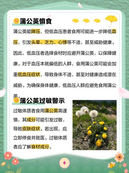 蒲公英不能和什么一起吃_蒲公英相克食物表-第1张图片-山城妙识 蒲公英不能和什么一起吃_蒲公英相克食物表-第1张图片-山城妙识