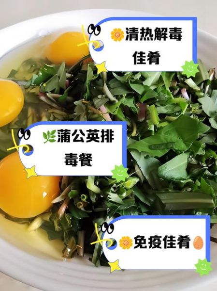 蒲公英不能和什么一起吃_蒲公英相克食物表-第3张图片-山城妙识 蒲公英不能和什么一起吃_蒲公英相克食物表-第3张图片-山城妙识