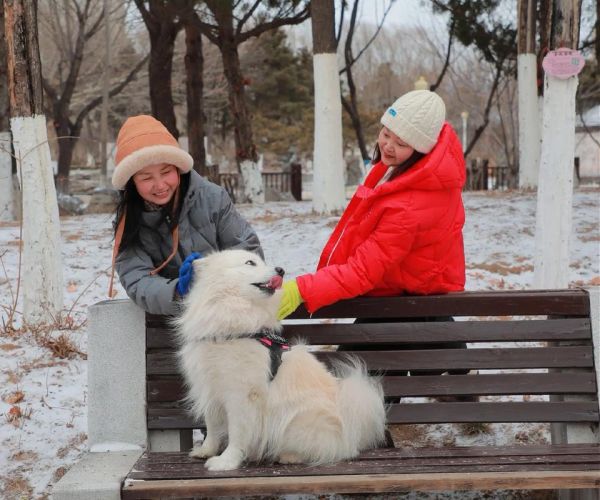 阳春白雪打一生肖是什么_阳春白雪对应的生肖有哪些说法-第2张图片-山城妙识 阳春白雪打一生肖是什么_阳春白雪对应的生肖有哪些说法-第2张图片-山城妙识