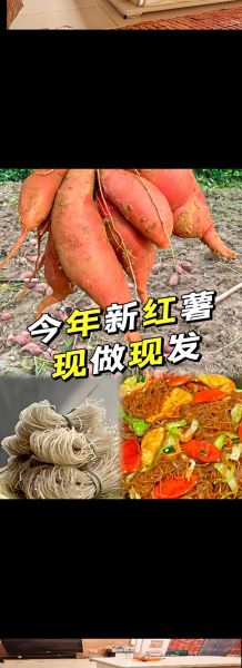 红薯粉条怎么煮才好吃_红薯粉条煮多久才软-第1张图片-山城妙识 红薯粉条怎么煮才好吃_红薯粉条煮多久才软-第1张图片-山城妙识