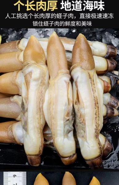 冷冻蛏子肉怎么做好吃_冷冻蛏子肉的做法大全-第2张图片-山城妙识