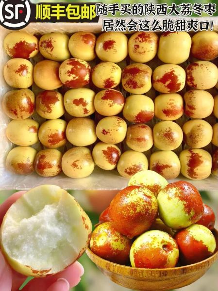 鲜冬枣的功效与作用_鲜冬枣能减肥吗-第1张图片-山城妙识