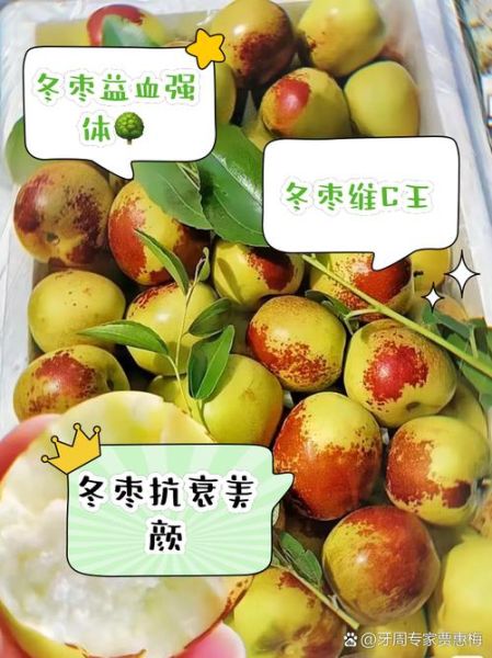 鲜冬枣的功效与作用_鲜冬枣能减肥吗-第2张图片-山城妙识