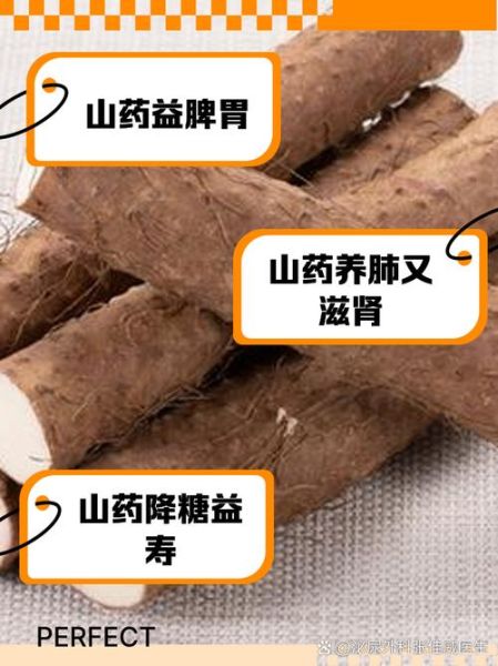铁棍山药的功效与作用_铁棍山药怎么吃最养脾胃-第1张图片-山城妙识