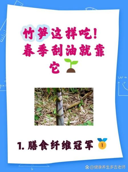 鲜竹笋有什么营养价值_鲜竹笋热量高吗-第1张图片-山城妙识