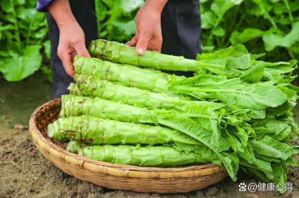 清明吃什么菜_传统时令蔬菜推荐-第2张图片-山城妙识 清明吃什么菜_传统时令蔬菜推荐-第2张图片-山城妙识