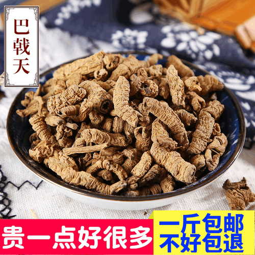 巴戟天吃一次就硬了_真的还是假的-第3张图片-山城妙识