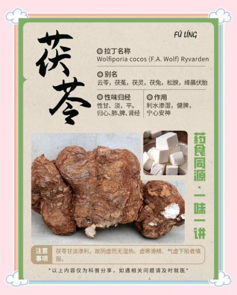 茯苓禁忌人群有哪些_茯苓不适合哪些人吃-第1张图片-山城妙识