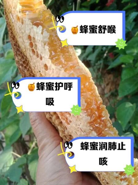 蜂蜜止咳最快的一招_蜂蜜止咳怎么做-第1张图片-山城妙识