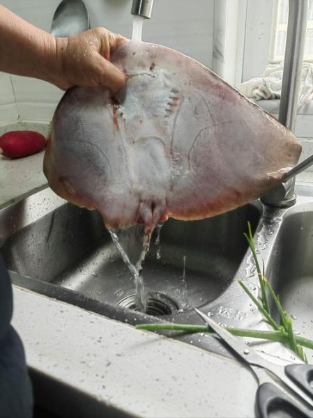 魔鬼鱼怎么做好吃_魔鬼鱼的家常做法-第2张图片-山城妙识 魔鬼鱼怎么做好吃_魔鬼鱼的家常做法-第2张图片-山城妙识