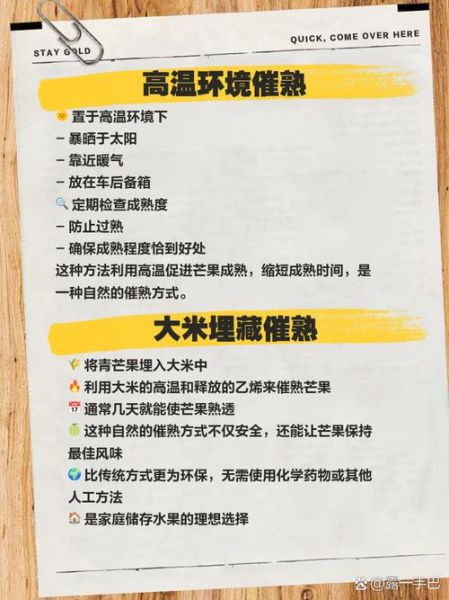 青芒果怎么催熟变黄_最快几天能吃-第3张图片-山城妙识 青芒果怎么催熟变黄_最快几天能吃-第3张图片-山城妙识