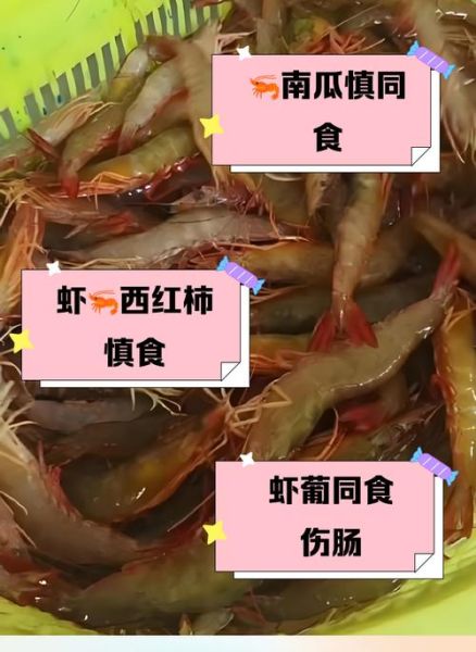 虾不能和什么一起吃_虾与哪些食物相克-第1张图片-山城妙识