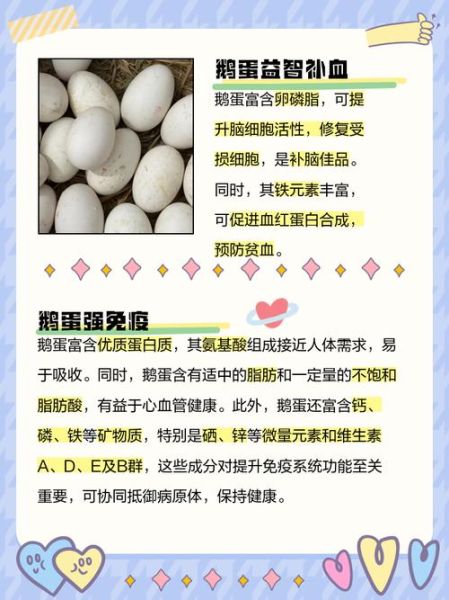 鹅蛋的功效与作用及禁忌_孕妇能吃鹅蛋吗-第3张图片-山城妙识