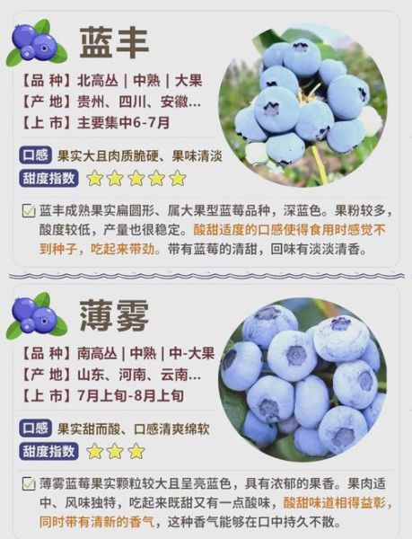 蓝莓怎么吃最营养_蓝莓一天吃多少颗合适-第3张图片-山城妙识