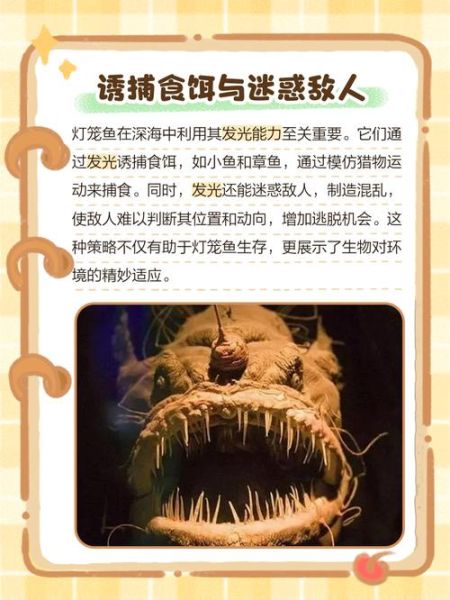 深海灯笼鱼长什么样_深海灯笼鱼为什么会发光-第3张图片-山城妙识