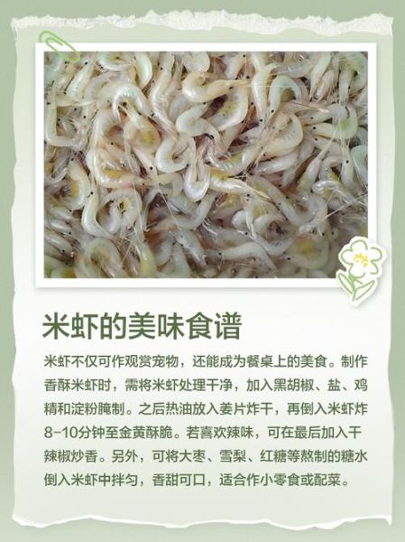 虾米有什么功效_虾米的作用与禁忌-第2张图片-山城妙识 虾米有什么功效_虾米的作用与禁忌-第2张图片-山城妙识