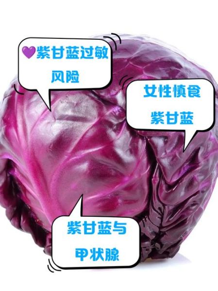 紫甘蓝哪些人不能吃_紫甘蓝禁忌人群-第2张图片-山城妙识 紫甘蓝哪些人不能吃_紫甘蓝禁忌人群-第2张图片-山城妙识