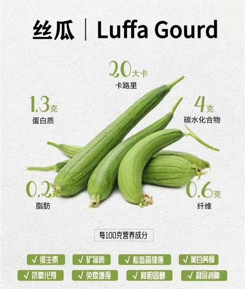 丝瓜有什么功效_丝瓜的副作用有哪些-第1张图片-山城妙识 丝瓜有什么功效_丝瓜的副作用有哪些-第1张图片-山城妙识