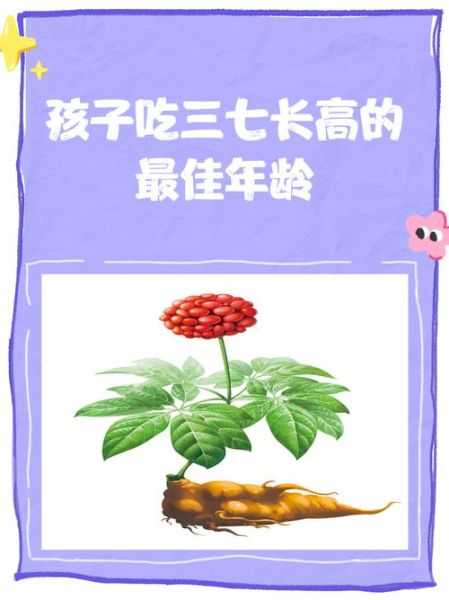 男孩子多大吃三七最容易长高_三七最佳服用年龄-第1张图片-山城妙识 男孩子多大吃三七最容易长高_三七最佳服用年龄-第1张图片-山城妙识