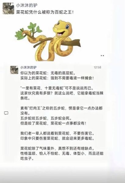 菜花蛇为什么不怕眼镜王蛇_菜花蛇靠什么免疫蛇毒-第1张图片-山城妙识 菜花蛇为什么不怕眼镜王蛇_菜花蛇靠什么免疫蛇毒-第1张图片-山城妙识