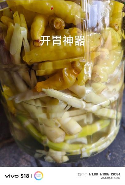 腌制竹笋的做法大全图解_如何快速入味-第1张图片-山城妙识