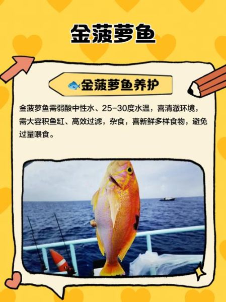 菠萝鱼吃什么_菠萝鱼饲料推荐-第3张图片-山城妙识 菠萝鱼吃什么_菠萝鱼饲料推荐-第3张图片-山城妙识