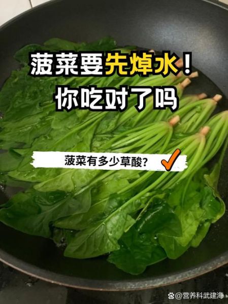 菠菜做汤用不用焯水_焯水对菠菜汤的影响-第1张图片-山城妙识 菠菜做汤用不用焯水_焯水对菠菜汤的影响-第1张图片-山城妙识