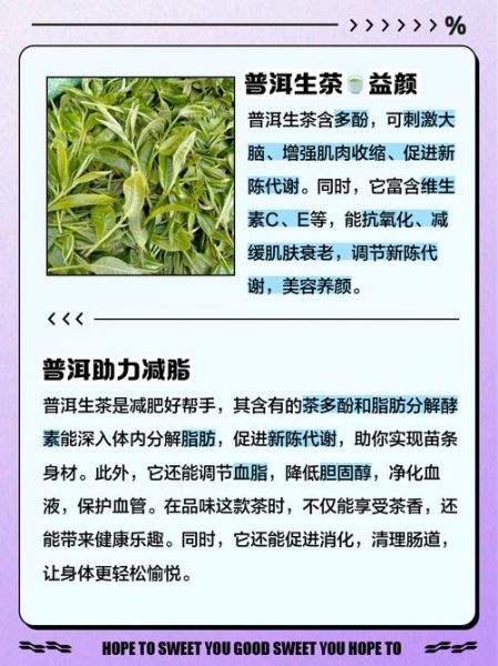 生普洱茶的功效与作用及禁忌_生普洱适合什么人喝-第1张图片-山城妙识