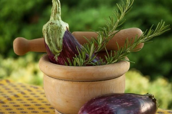 茄子别名有哪些_茄子为什么叫落苏-第3张图片-山城妙识 茄子别名有哪些_茄子为什么叫落苏-第3张图片-山城妙识