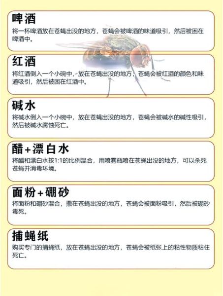 苍蝇怎么消灭最有效_家里苍蝇多怎么办-第1张图片-山城妙识 苍蝇怎么消灭最有效_家里苍蝇多怎么办-第1张图片-山城妙识