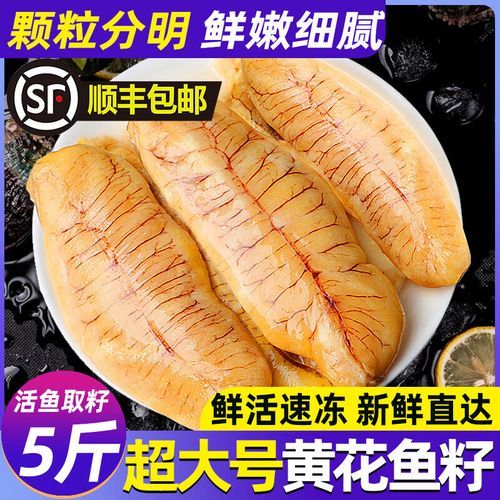 黄花鱼鱼籽的营养价值_黄花鱼鱼籽的功效与作用-第2张图片-山城妙识