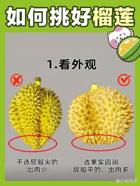 世界十大顶级榴莲有哪些_怎么挑选最好吃-第2张图片-山城妙识 世界十大顶级榴莲有哪些_怎么挑选最好吃-第2张图片-山城妙识