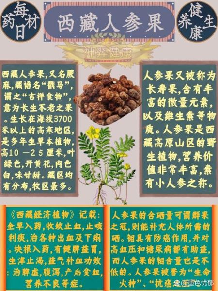 人参果有什么功效_人参果怎么吃最营养-第1张图片-山城妙识 人参果有什么功效_人参果怎么吃最营养-第1张图片-山城妙识