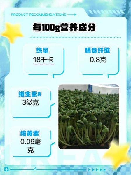 绿豆芽的营养价值_绿豆芽的功效与作用-第3张图片-山城妙识