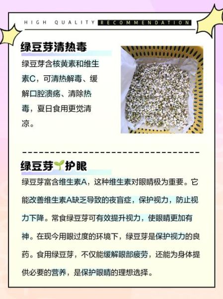 绿豆芽的营养价值_绿豆芽的功效与作用-第2张图片-山城妙识