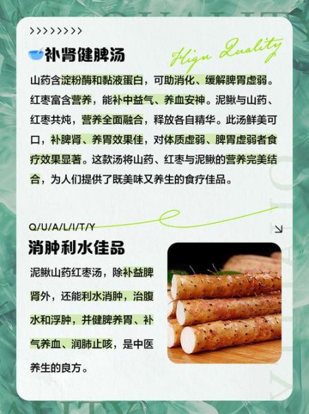 泥鳅山药汤的功效与作用_适合什么人喝-第1张图片-山城妙识