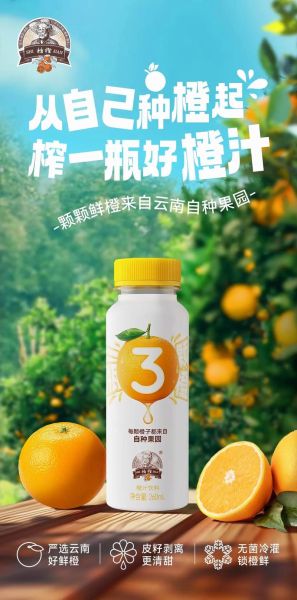 中国十大果汁品牌有哪些_哪个最好喝-第1张图片-山城妙识 中国十大果汁品牌有哪些_哪个最好喝-第1张图片-山城妙识